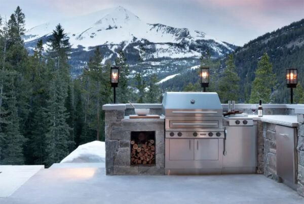 Stainless Steel Outdoor Kitchen: In-Depth Guide & 5 Best Brands
